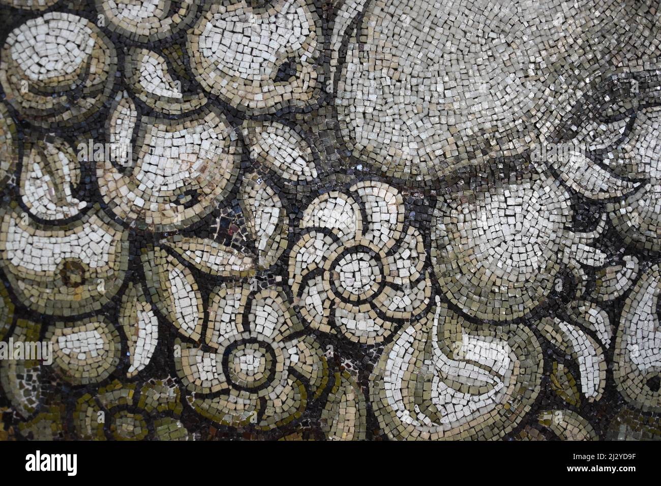 Mosiac of fruit in the lower portion of the dome of St. Peter's ...