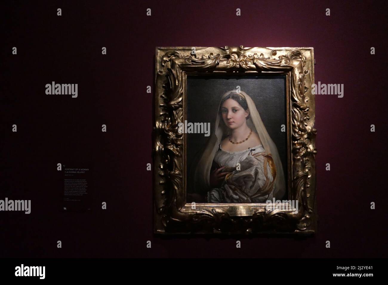 This exhibition, the first outside Italy to encompass all aspects of ...