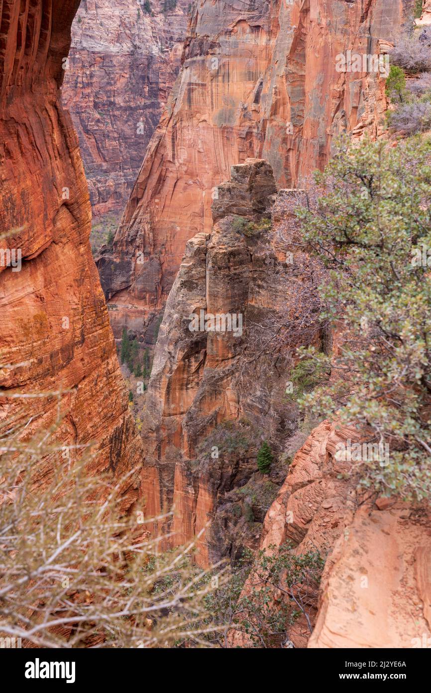 A beautiful view of Angels Landing Trail, Zion National Park, Utah, USA ...