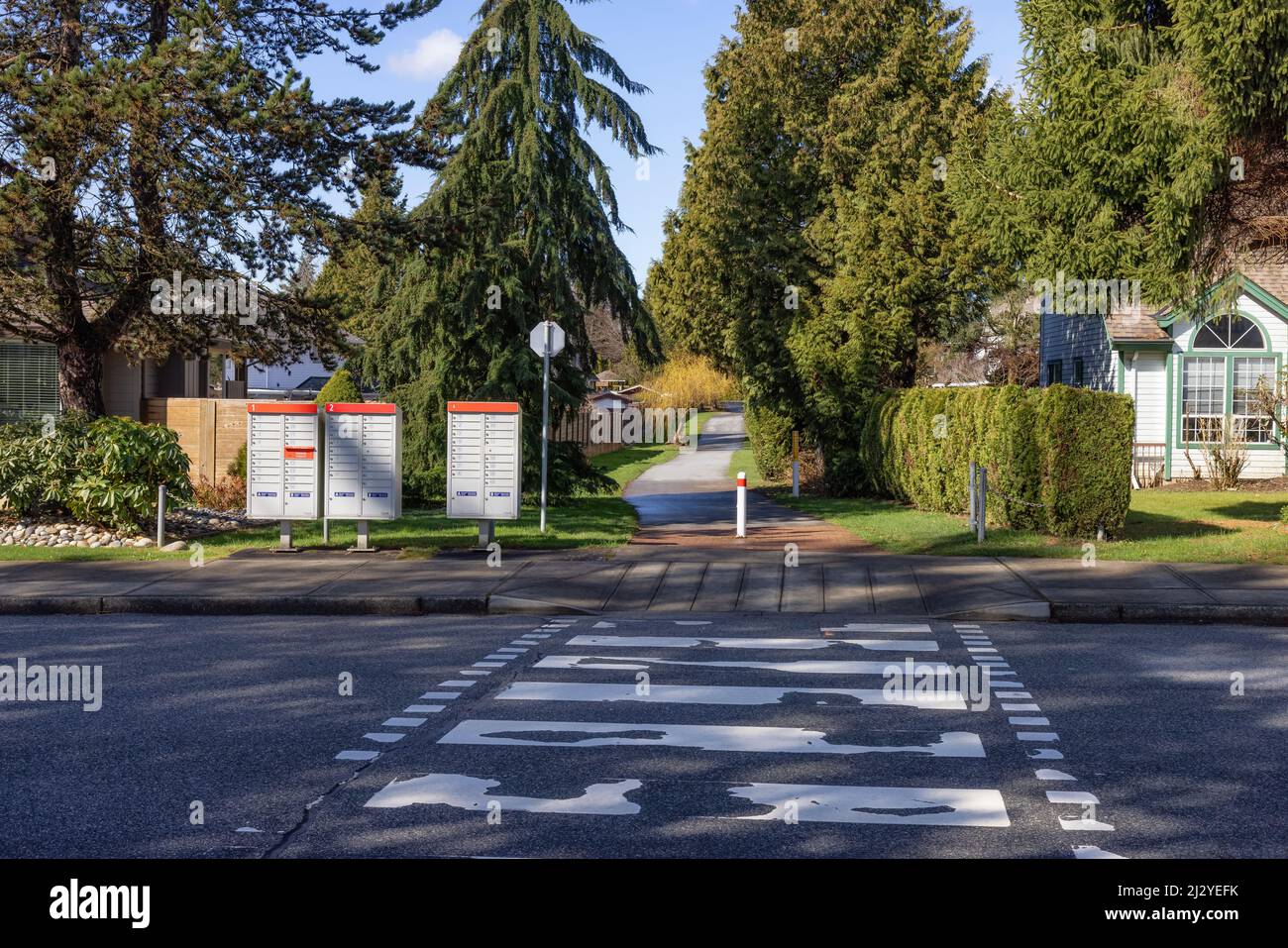 Pedestrian Crosswalk at Residential neighborhood Street in Modern City ...