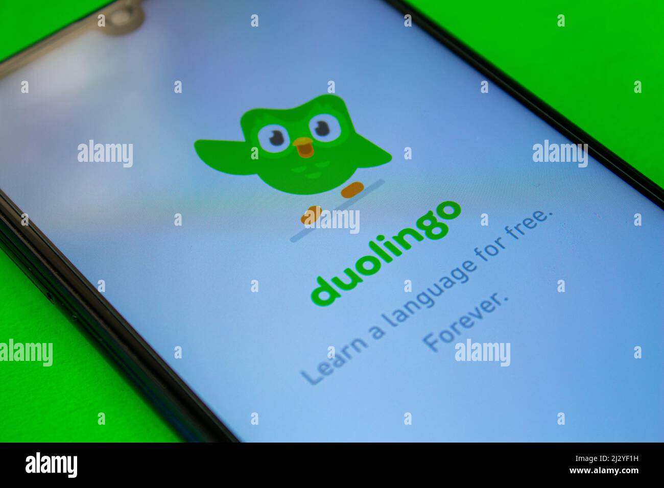 Duolingo symbol hi-res stock photography and images - Alamy