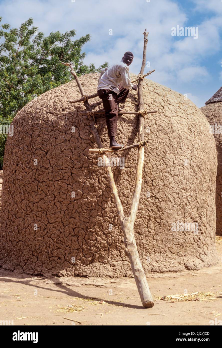 Niger, West Africa. Young Man Climbing Ladder to Village Granary Stock ...