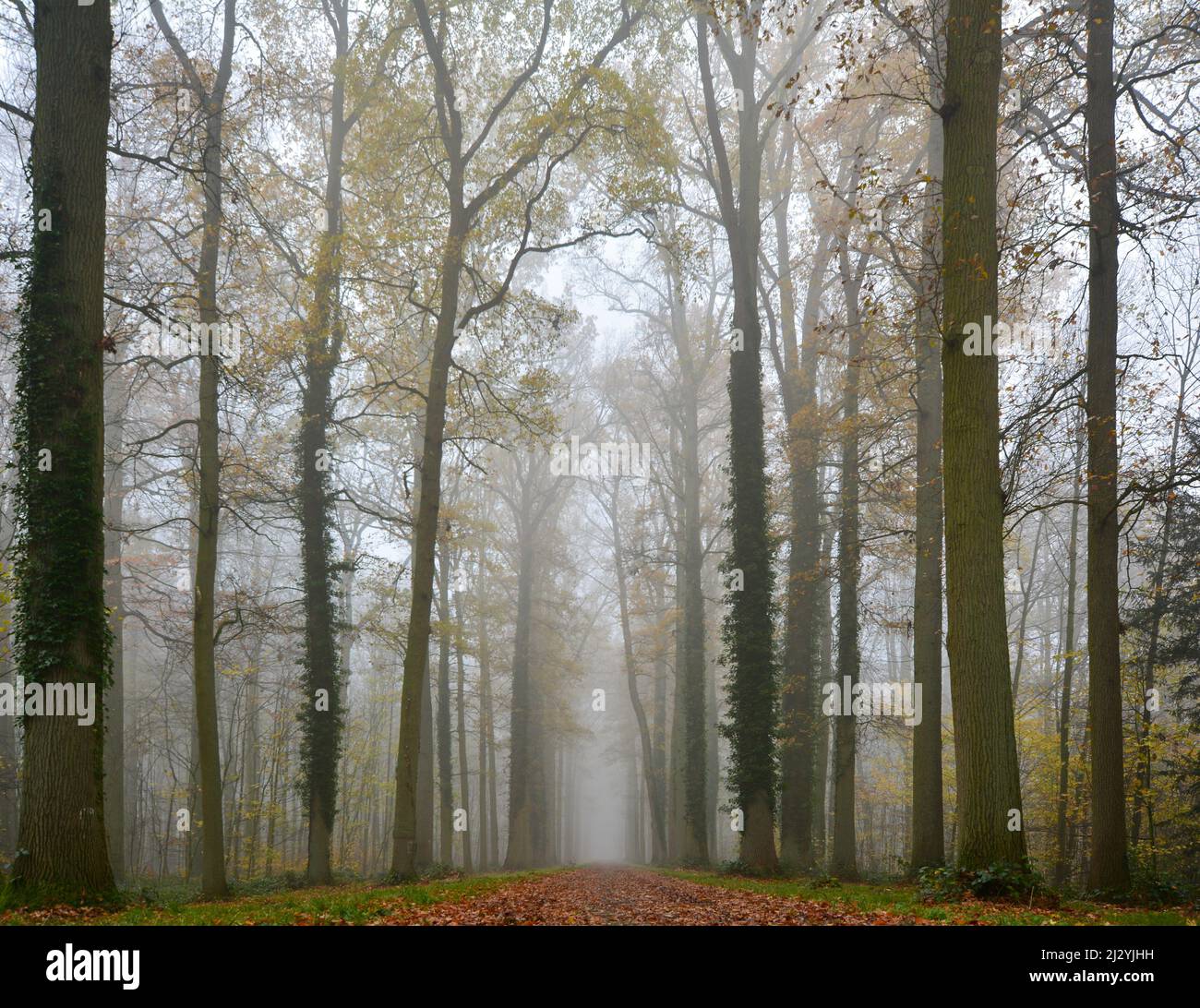 Hainaut enghien hi-res stock photography and images - Alamy
