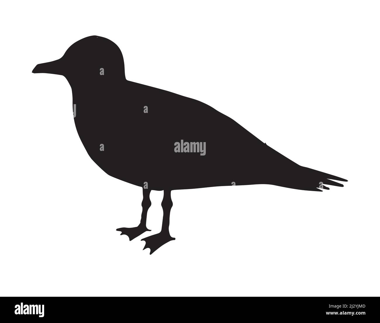 Vector black sea gull silhouette isolated on white background Stock ...