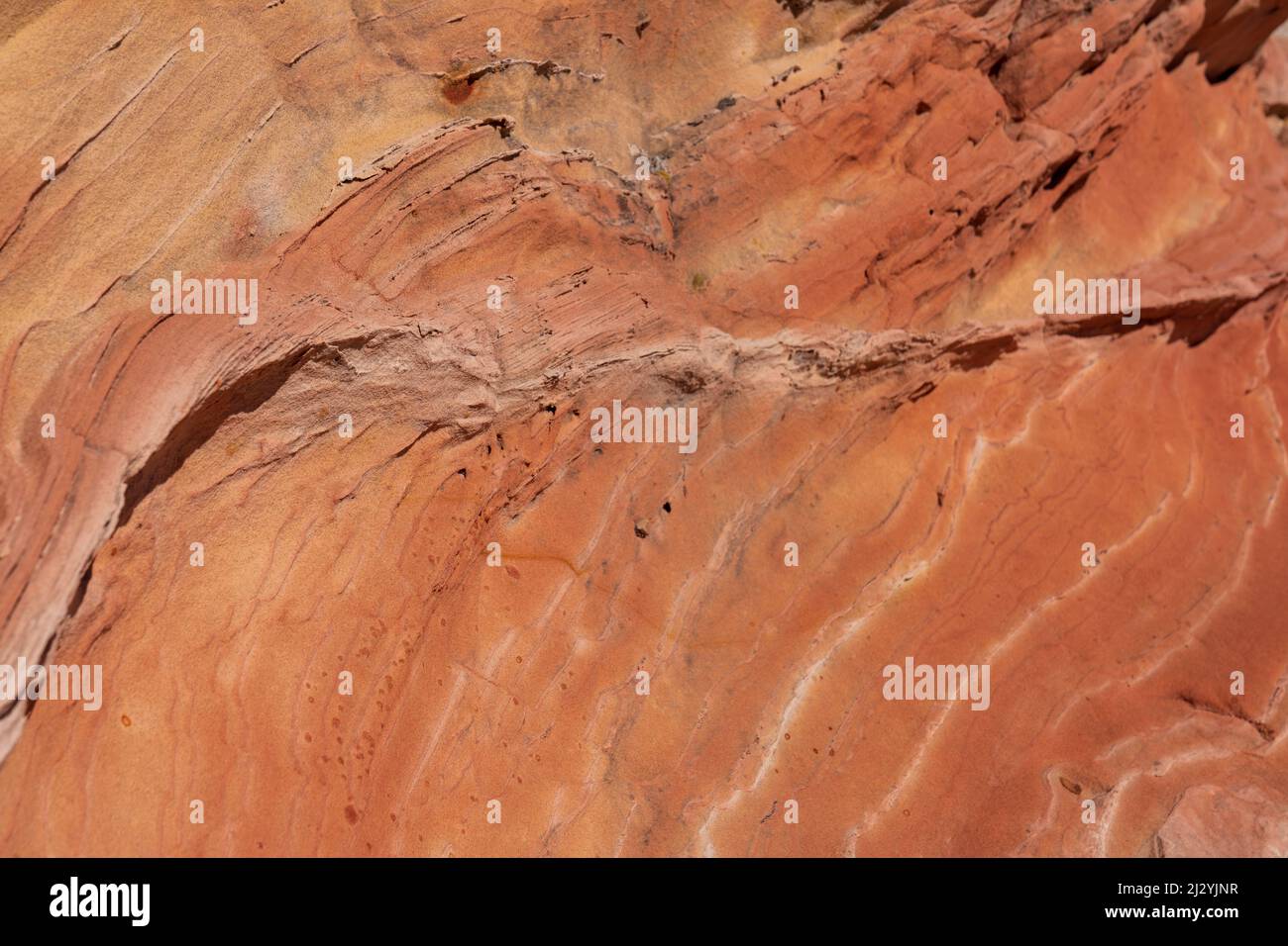 A closeup shot of White Pocket, Vermillion Cliffs National Monument ...