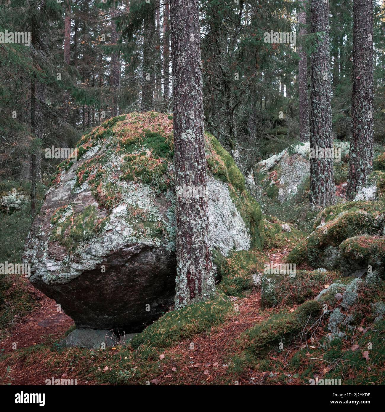 Boulders in the forest in Tiveden National Park in Sweden Stock Photo ...