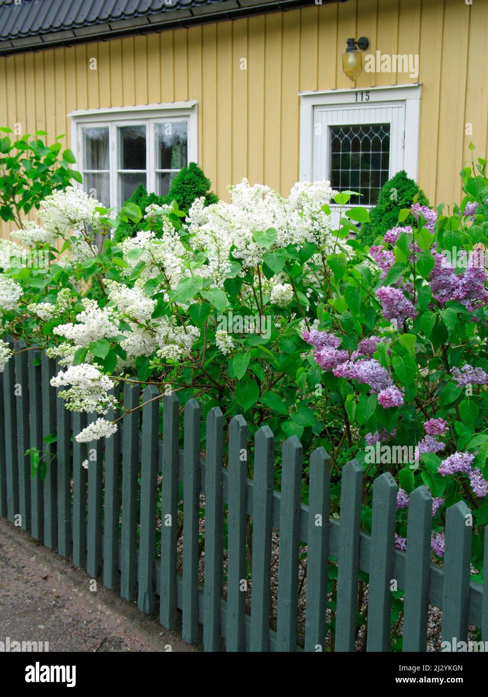 Syren hi-res stock photography and images - Alamy