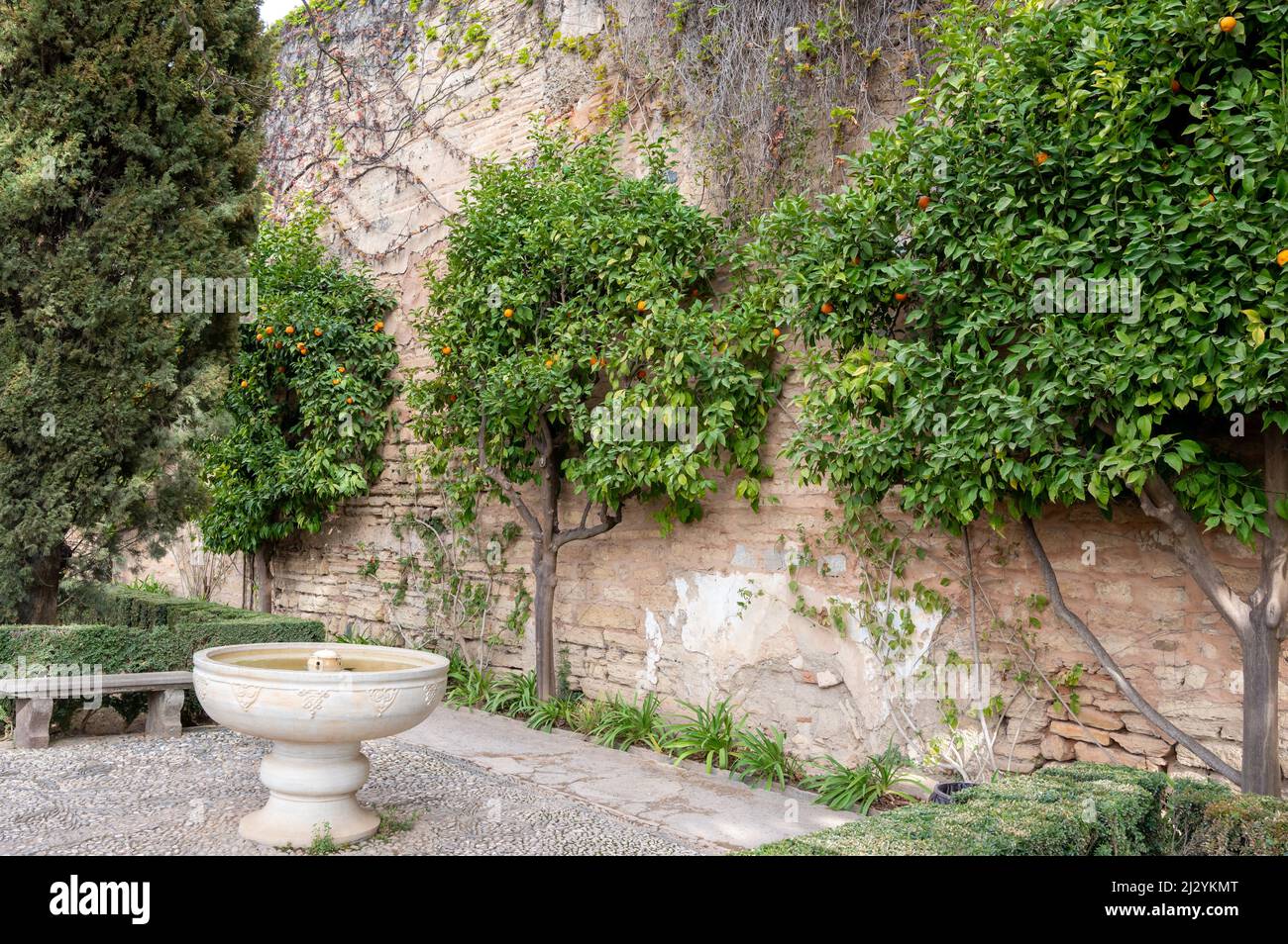 Medieval gardens design in Andalusian style, trees, plants, flowers and ...