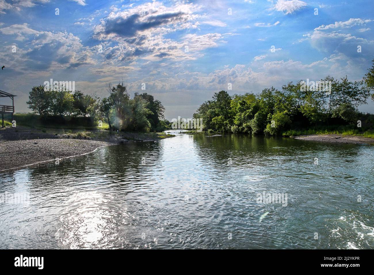 A beautiful view of a river among trees under the sunlight Stock Photo ...