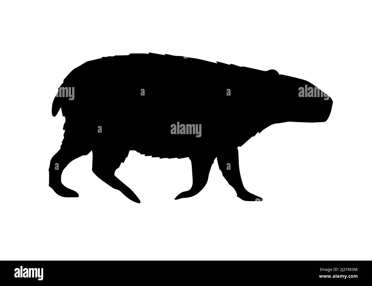 Vector flat black capybara silhouette isolated on white background ...