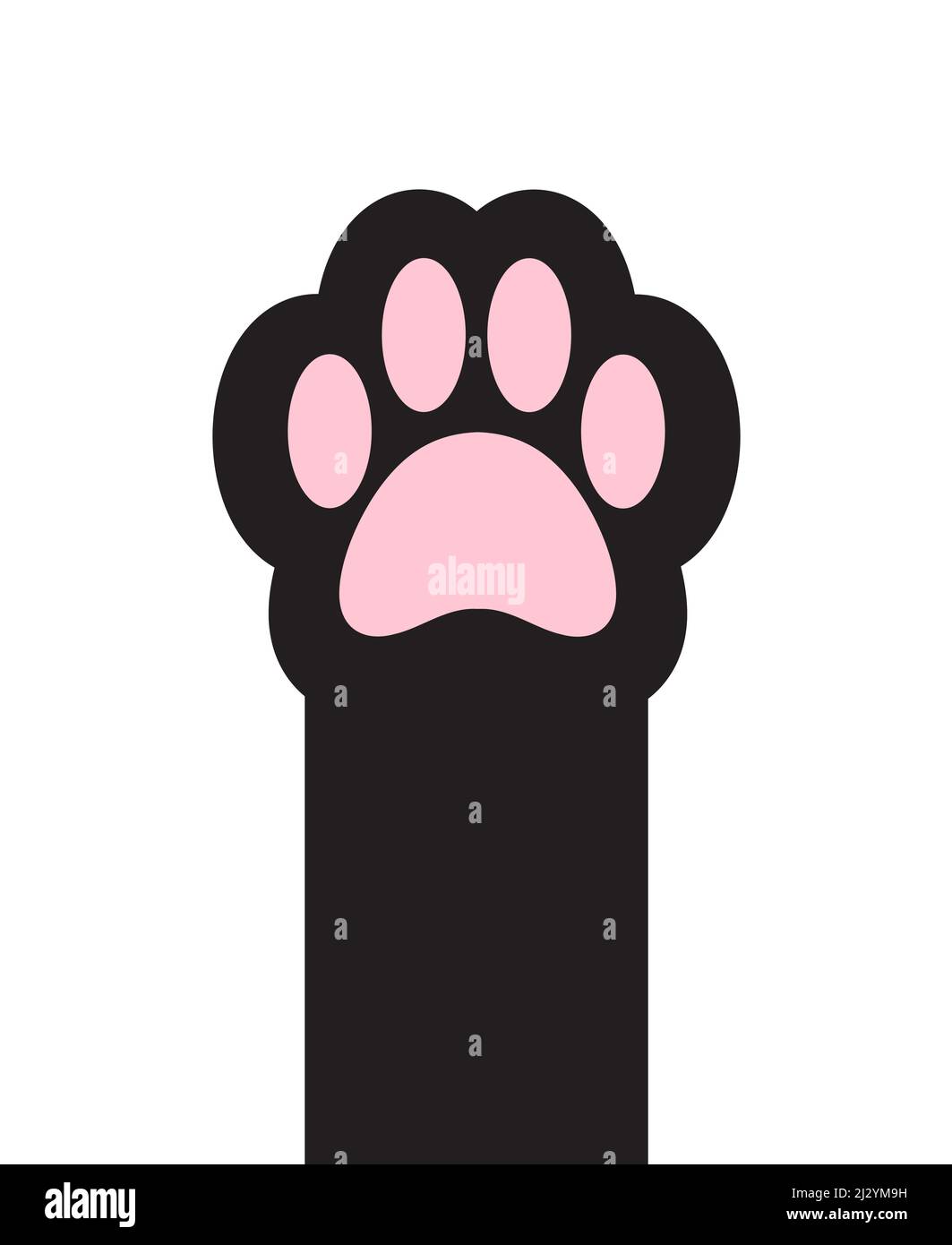 Vector flat cartoon cat paw isolated on white background Stock Vector ...