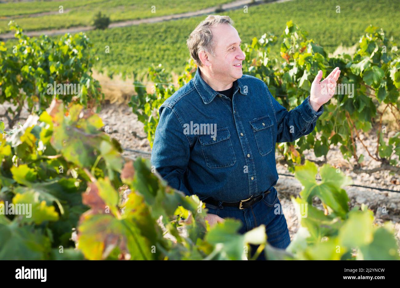 Positive glad man standing on vineyard Stock Photo - Alamy