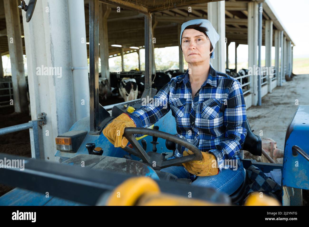 Aged woman on farm tractor Stock Photo - Alamy