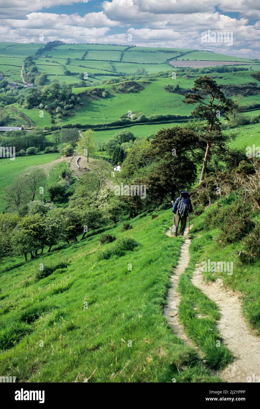 Walker follows trail in hi-res stock photography and images - Alamy