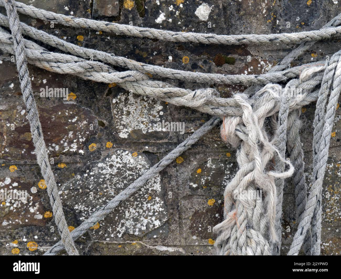 Old rope, ropes hanging on stone wall Stock Photo - Alamy