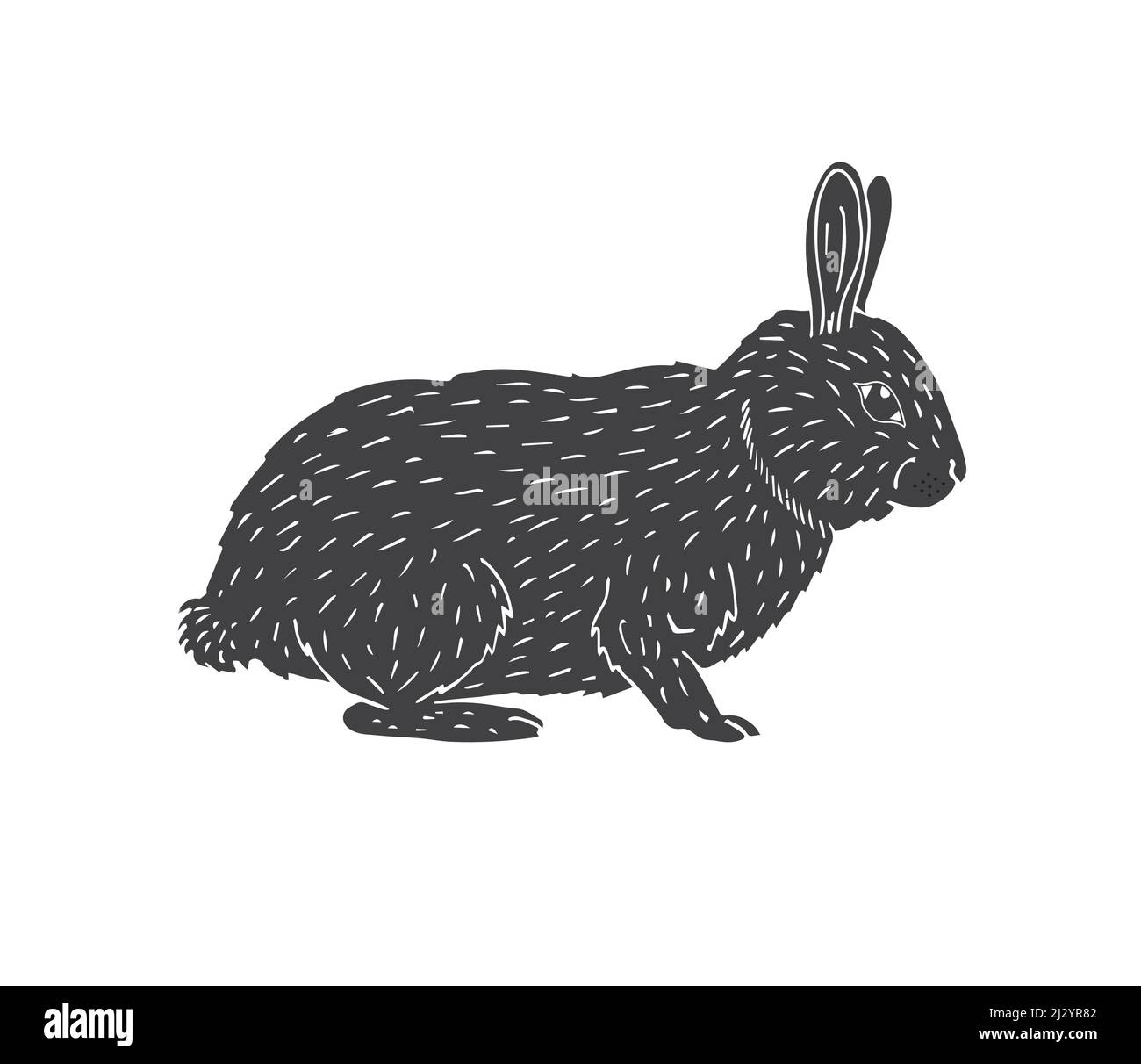 Vector hand drawn doodle sketch black rabbit isolated on white ...
