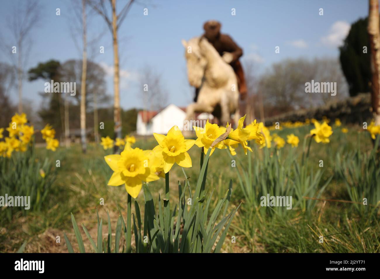 Robert Burns Cottage, Alloway, Ayr, Scotland,. Willow art work ...
