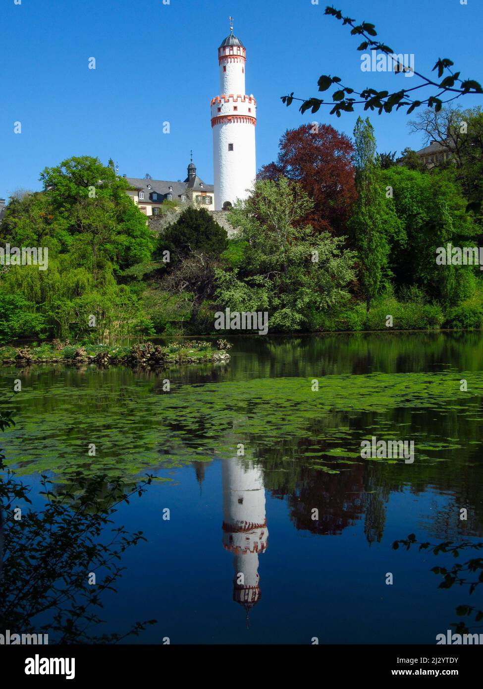 A vertical shot of the famous Bad Homburg Castle in Germany Stock Photo ...