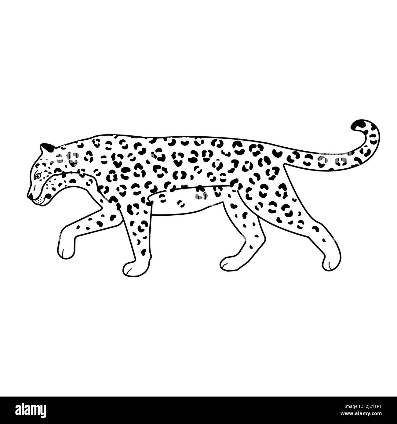 Vector flat outline leopard isolated on white background Stock Vector ...
