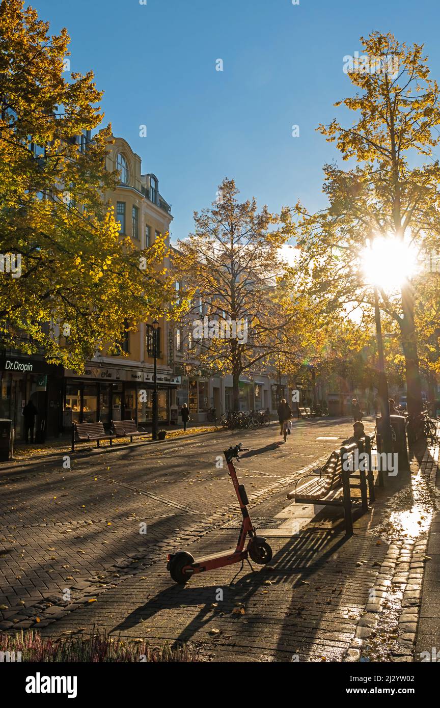 Nordre Gate downtown Trondheim, autumn mood, Trondelag, Norway, Europe ...