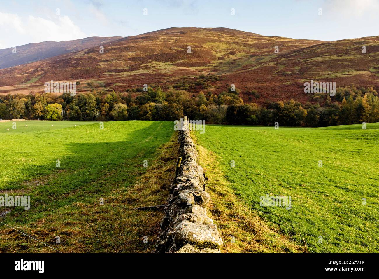 View of greenish wall hi-res stock photography and images - Alamy