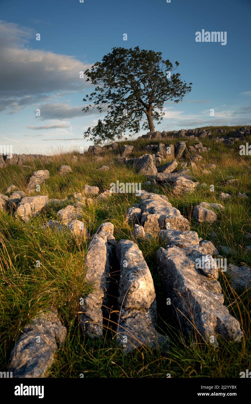 Malham walks hi-res stock photography and images - Alamy