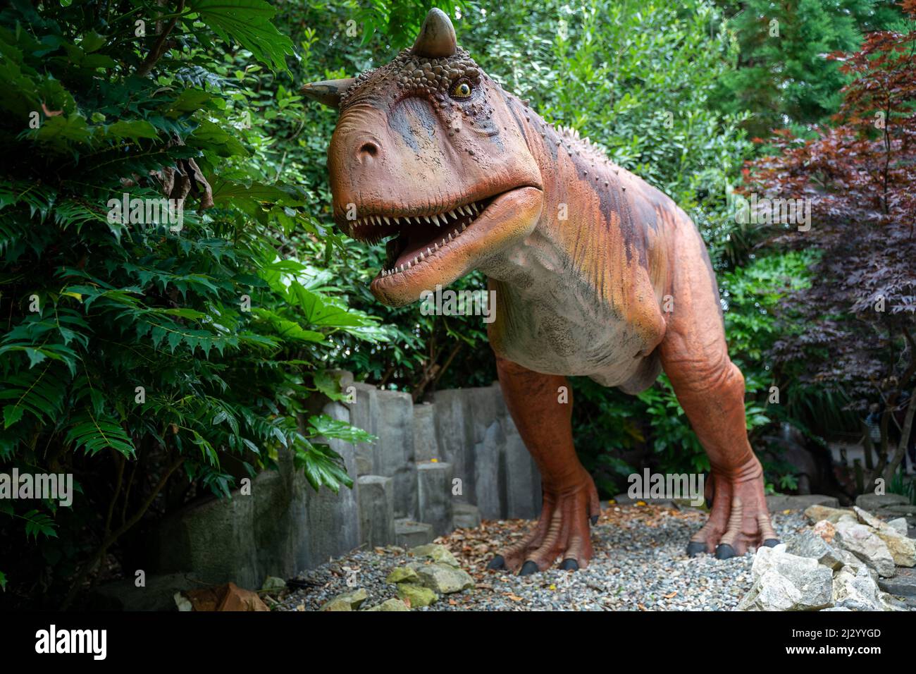 Dinosaur raptor prehistoric hi-res stock photography and images - Alamy