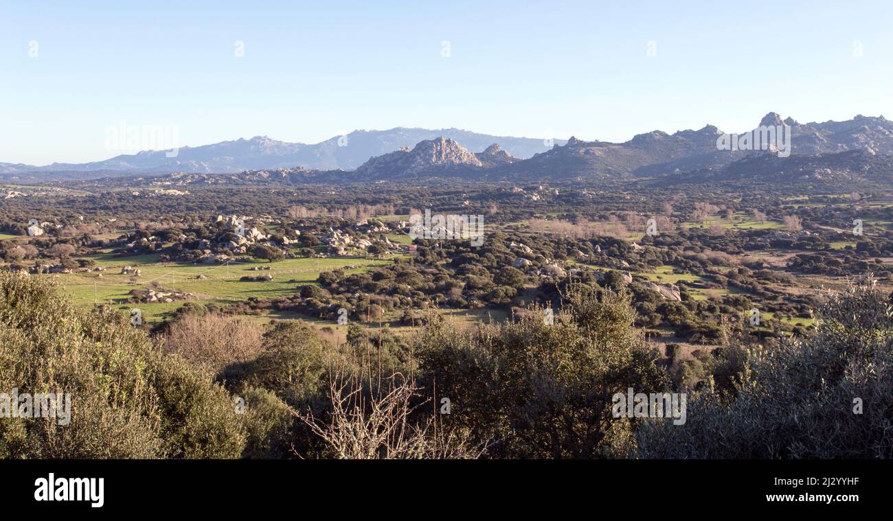 Sardinia tree nature wild rural hi-res stock photography and images - Alamy