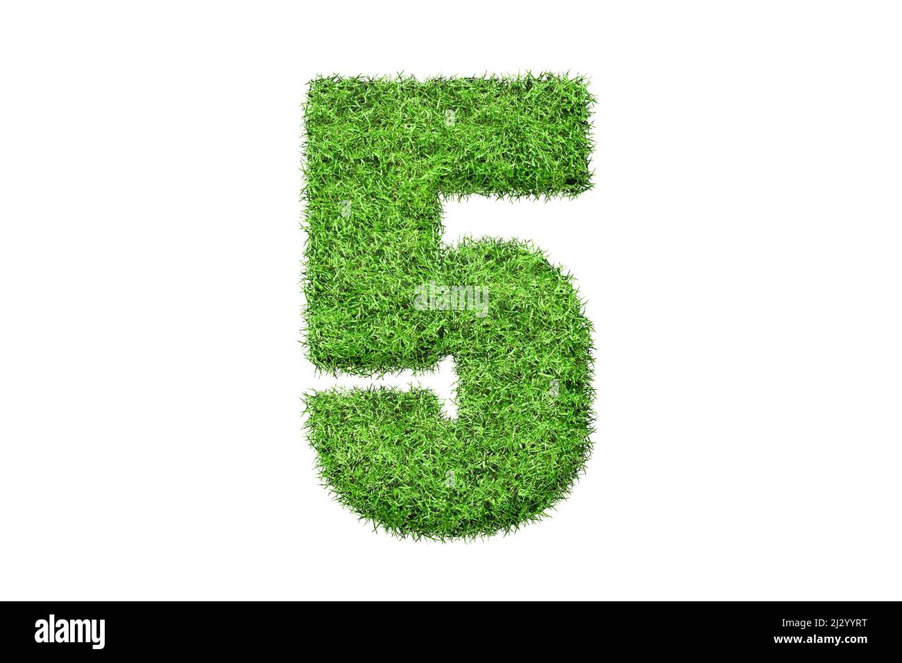 5 number in green grass filled the character . Isolated from a white ...