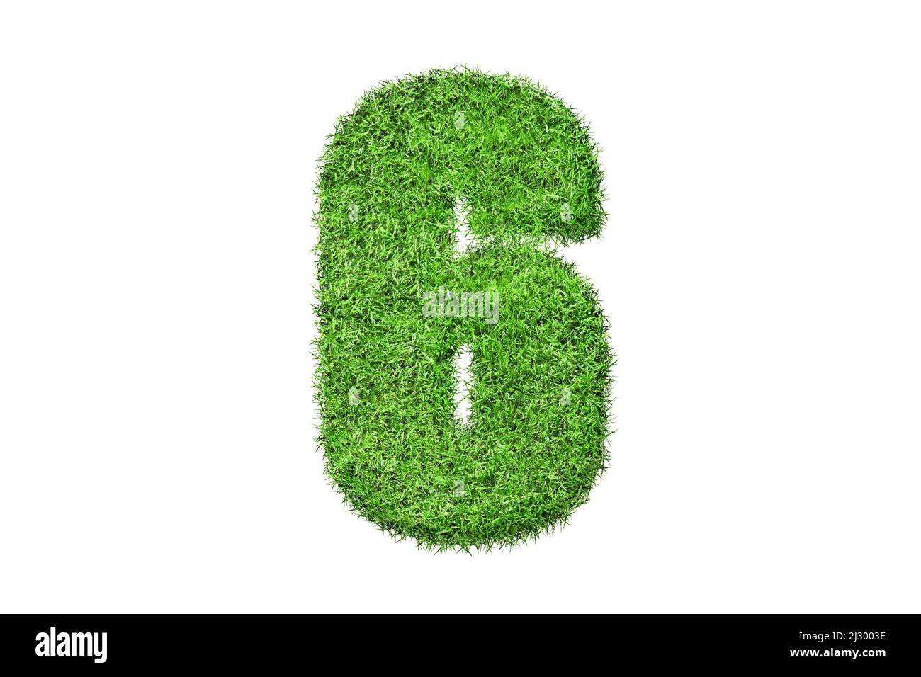 6 number in green grass filled the character . Isolated from a white ...