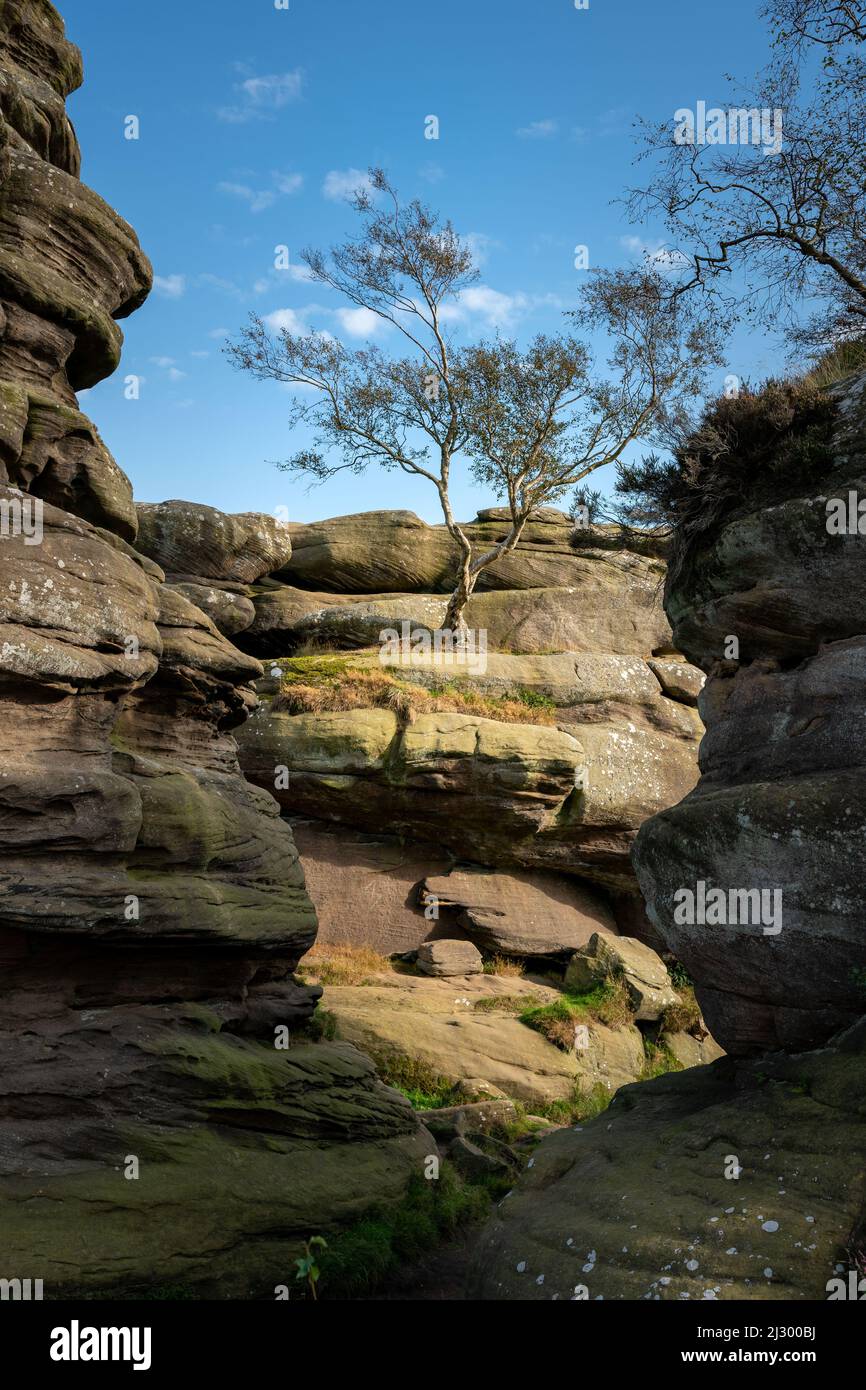 Rock formations in National Trust Brimham Rocks in UK Stock Photo - Alamy