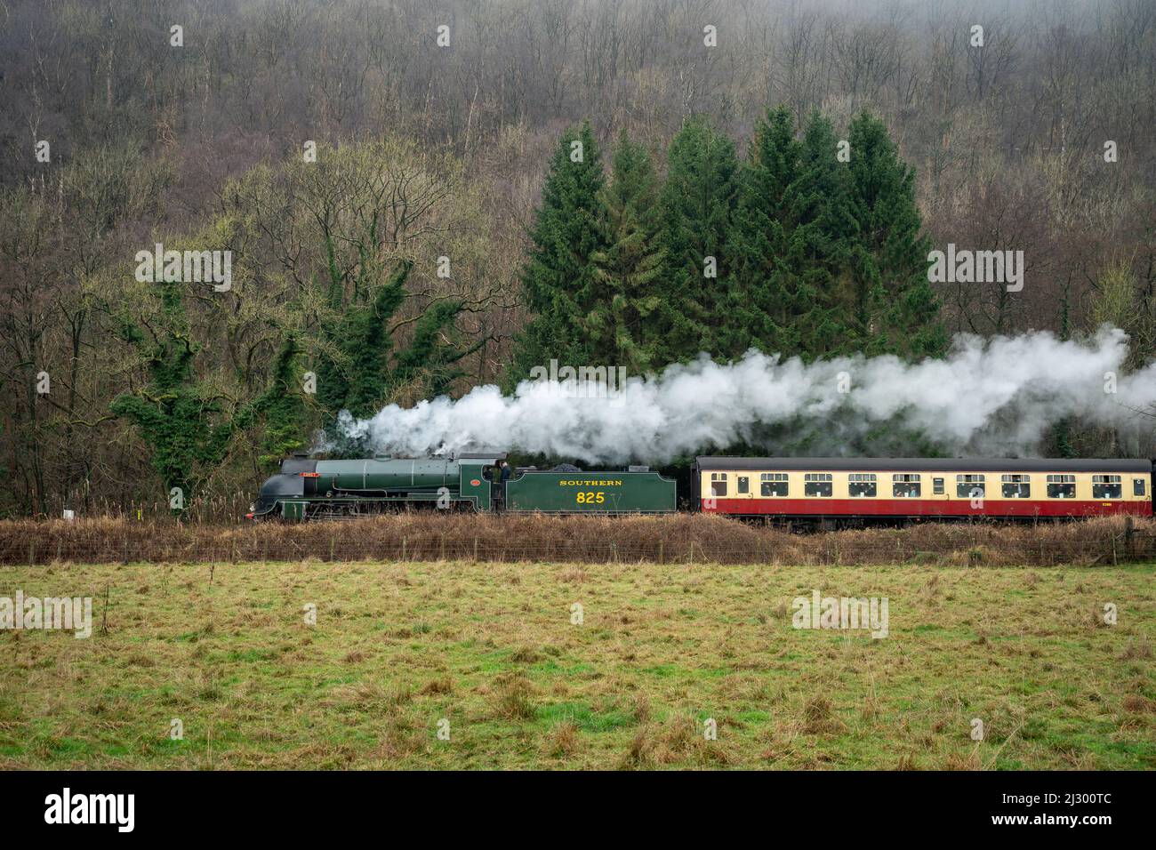 Santa Special Train, Moorlander, steam train on a way from Pickering to ...