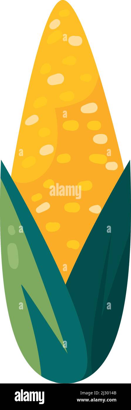 big flat corn illustration Stock Vector Image & Art - Alamy