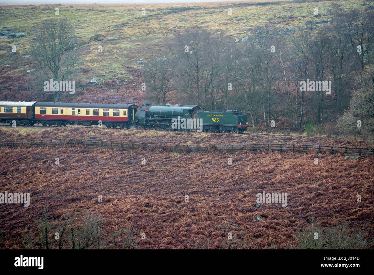 Santa Special Train, Moorlander, steam train on a way from Pickering to ...