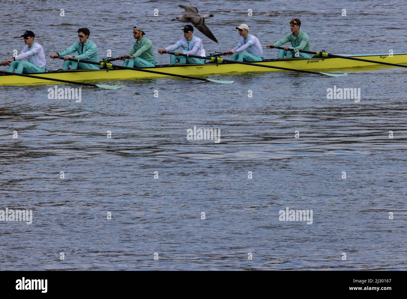 Oxford Cambridge Boat Race 2022 Stock Photo - Alamy