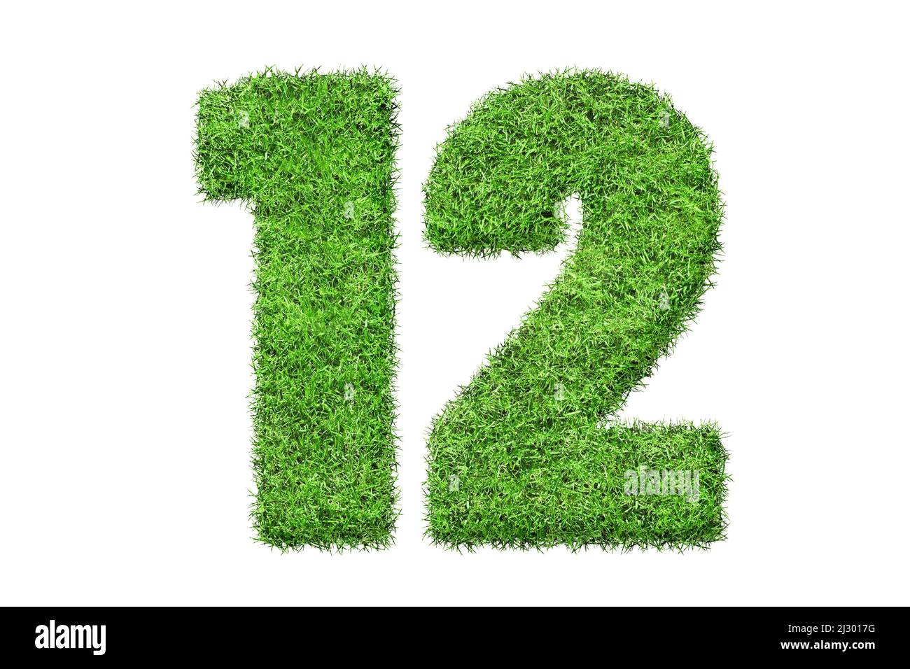 12 number in green grass filled the character . Isolated from a white ...