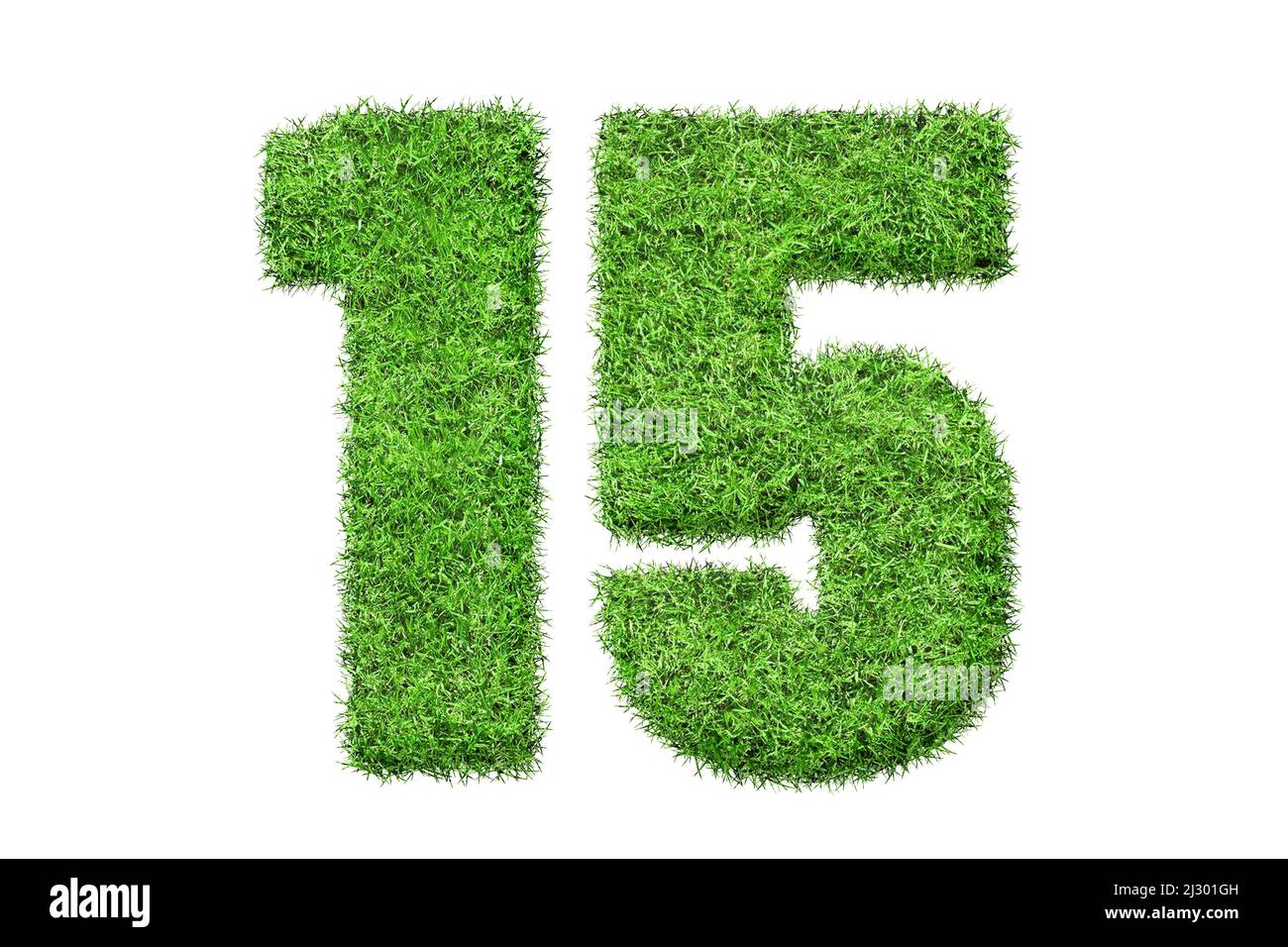 15 number in green grass filled the character . Isolated from a white ...