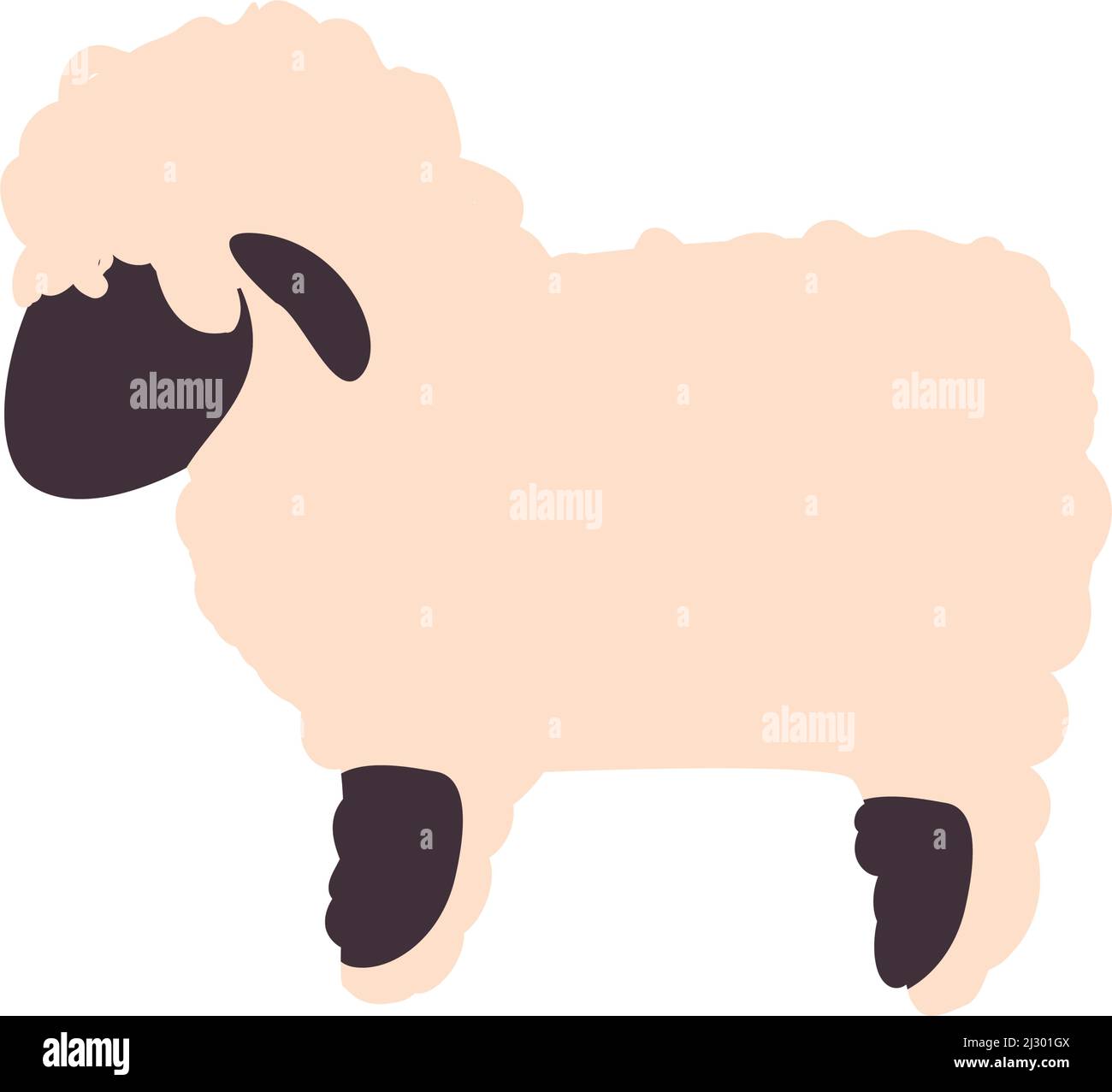 flat cute sheep design Stock Vector Image & Art - Alamy