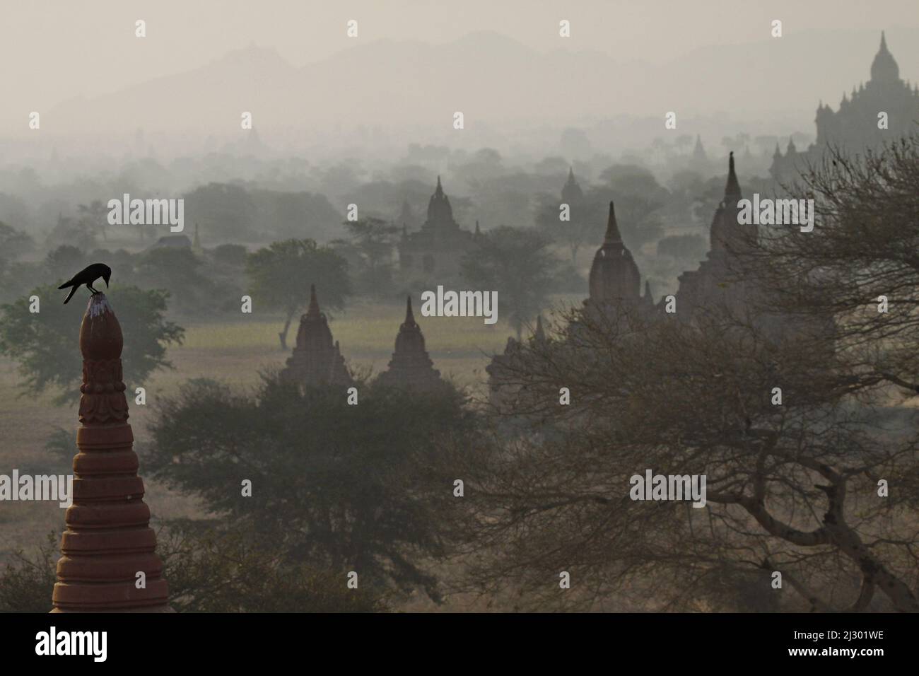 Sunrise view of Bagan temples, Myanmar Stock Photo - Alamy