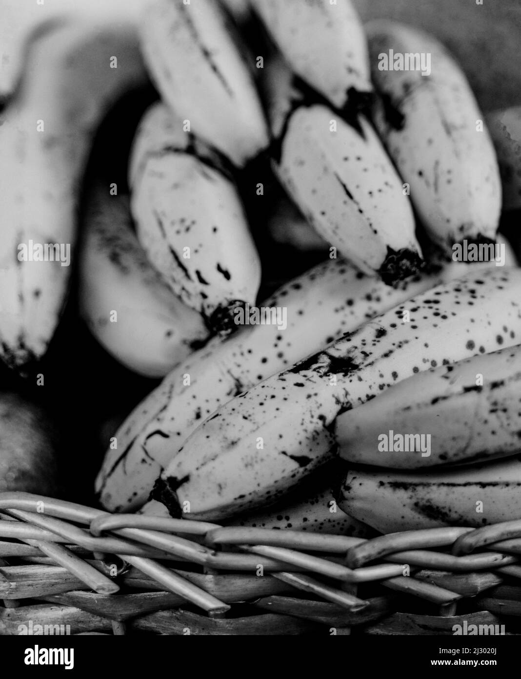 Close up fruit portrait of ripe 'speckled bananas' Stock Photo - Alamy