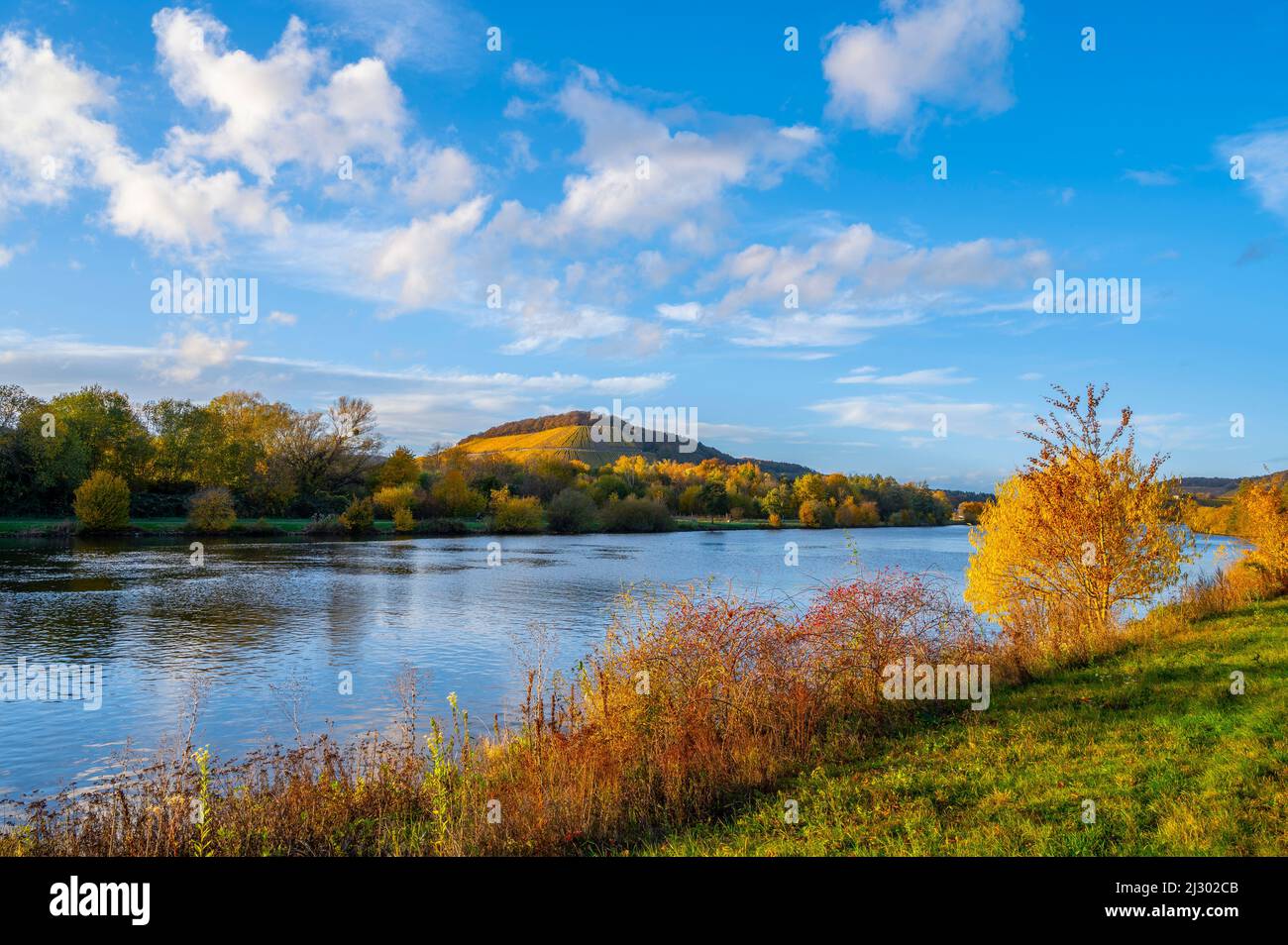 Ayler kupp hi-res stock photography and images - Alamy