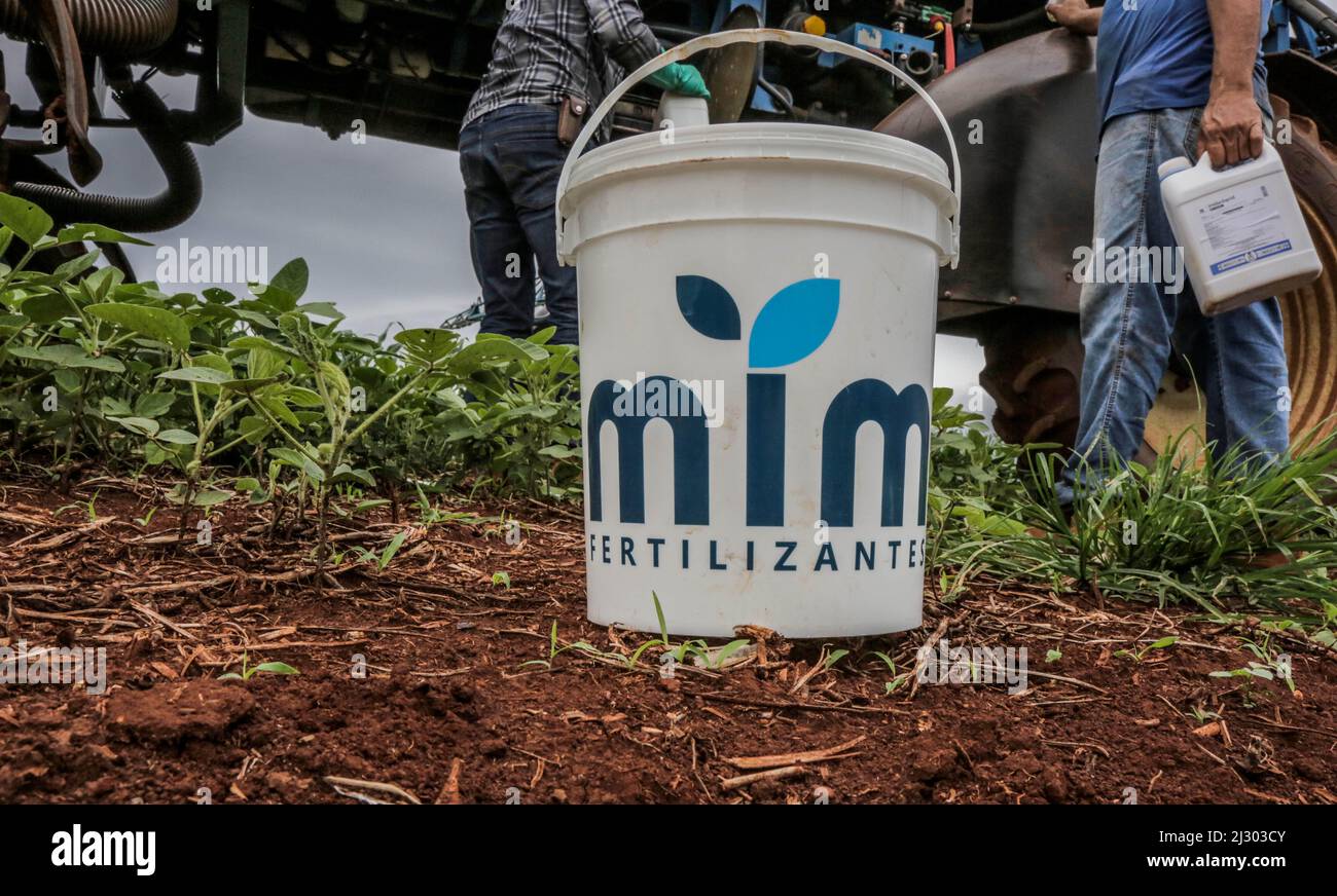 CAMPO MOURÃO, PR - 04.04.2022: FERTILIZANTES EM PLANTAÇÃO DE MILHO NO ...