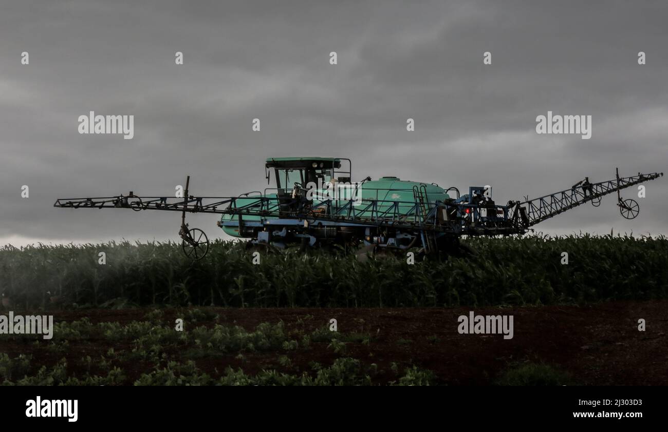 Spray de campo hi-res stock photography and images - Alamy