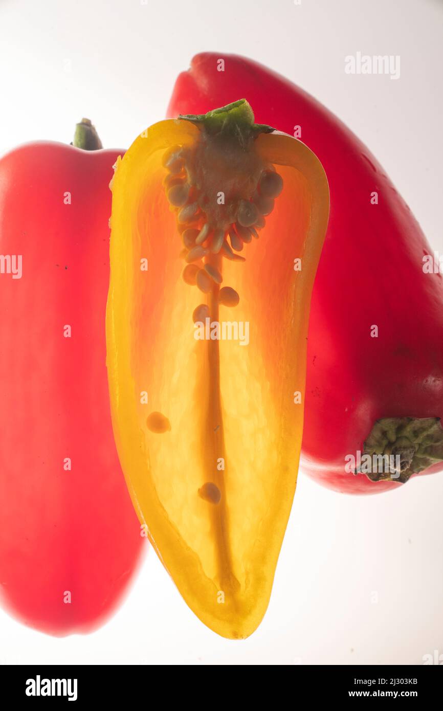 Macro food still life of colourful fun sized (Capsicum annuum) peppers ...