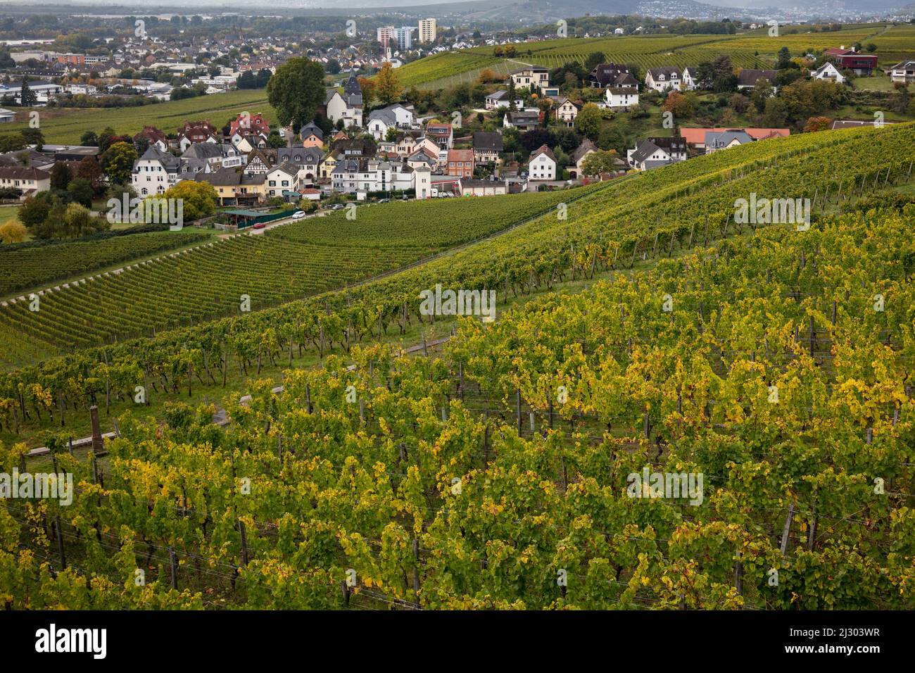 Rhine Valley, Germany Stock Photo - Alamy
