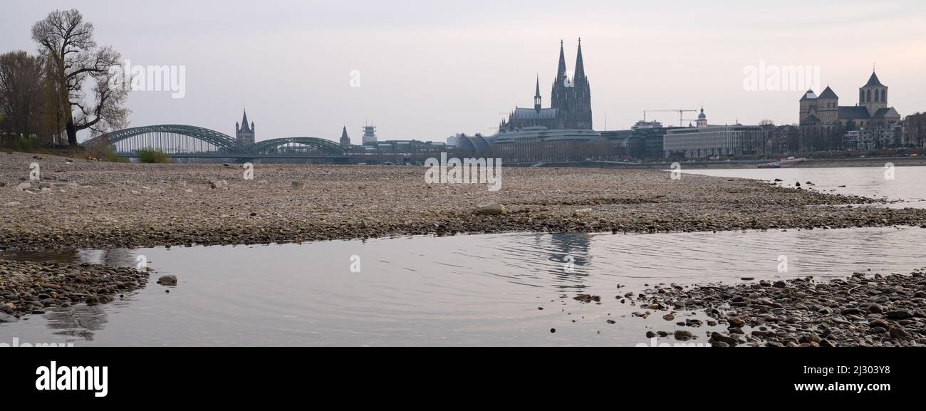 Low water of the Rhine river in Cologne, drought in Germany Stock Photo ...