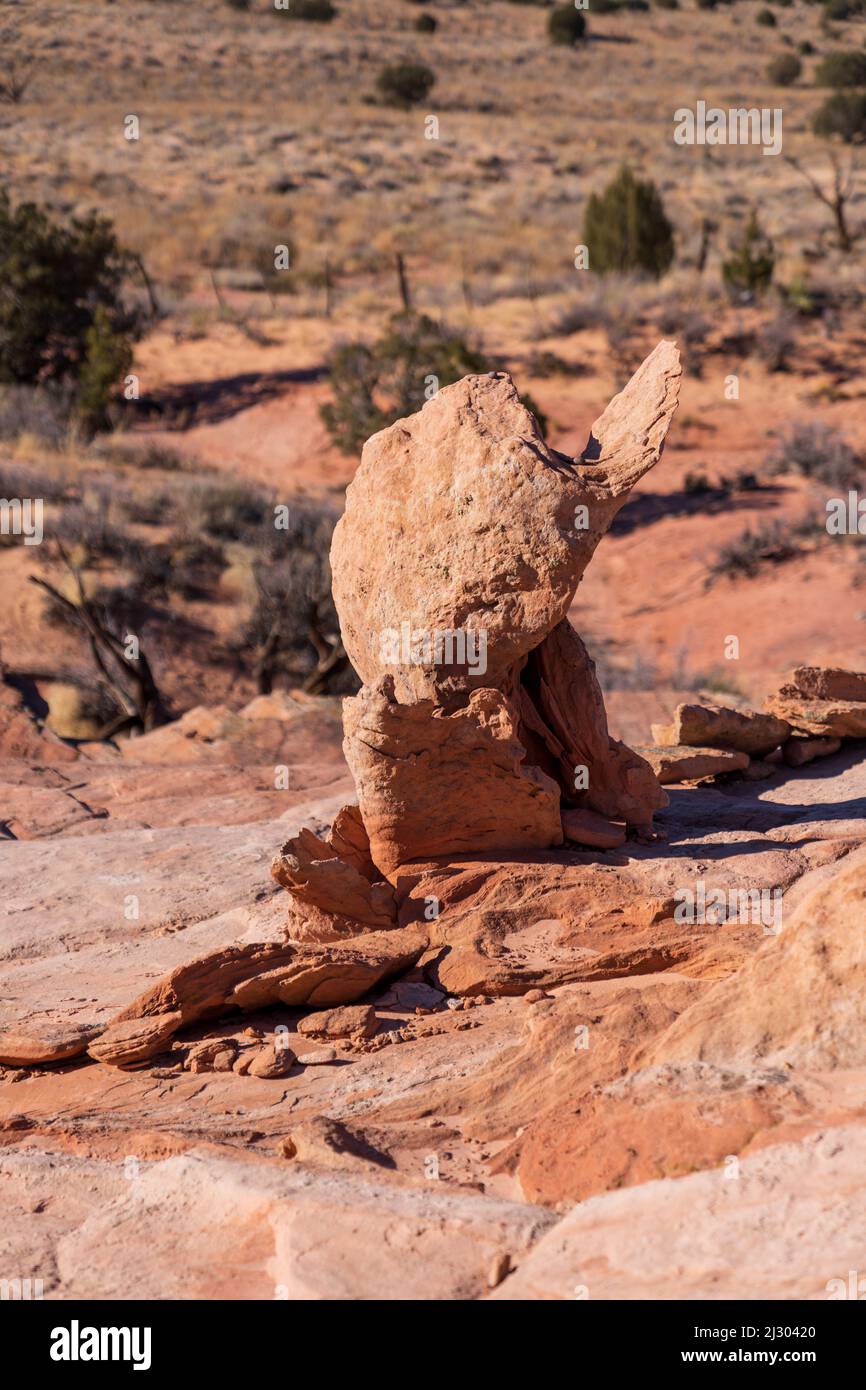 A vertical shot of a piece of rock in White Pocket, Vermillion Cliffs ...