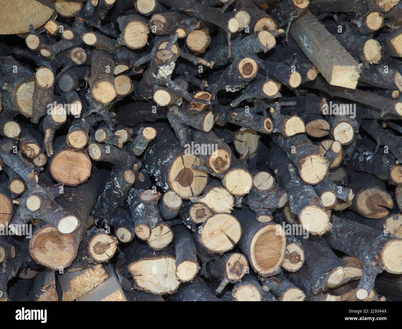 Thin log hi-res stock photography and images - Alamy