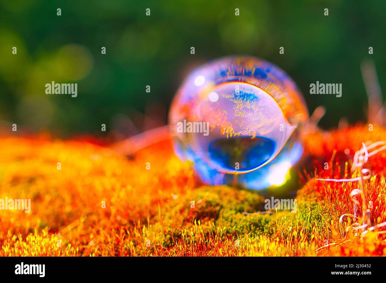 A close-up view from a lens ball of the landscape in autumn Stock Photo ...