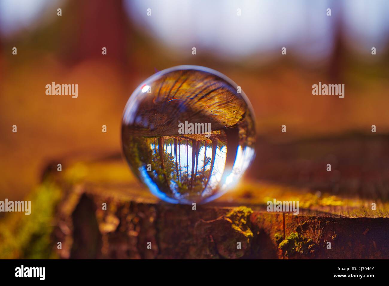 A close-up view from a lens ball of the landscape in autumn Stock Photo ...